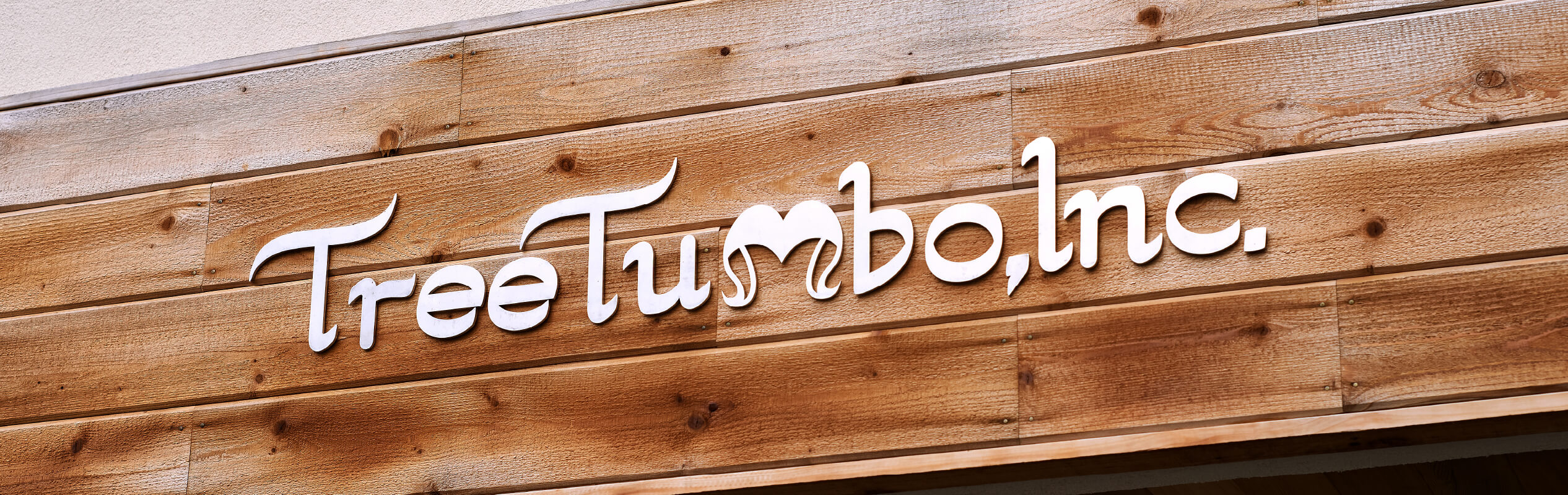 ABOUT | TreeTumbo,inc.